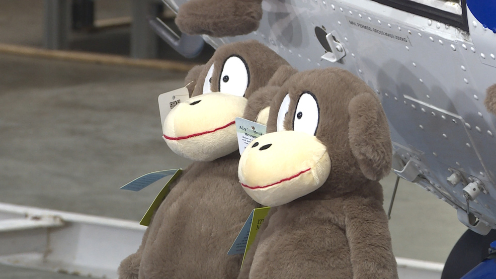 Aly's Monkey Movement on mission to help kids | WOLF