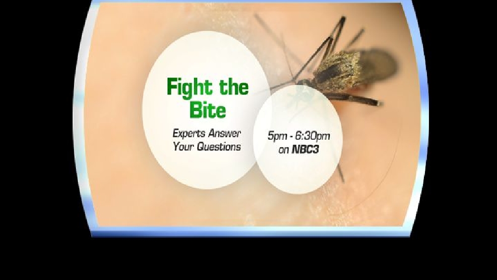 Answer Desk: Fight the Bite | WSTM