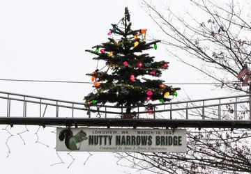 The 'World's Narrowest Bridge' was made for the squirrels in Longview ...