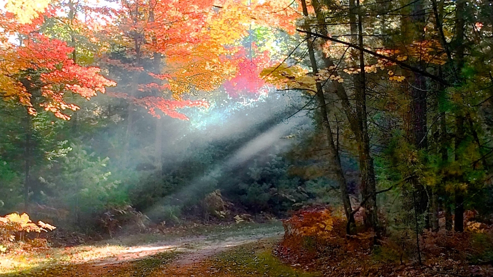 Photographers capture stunning views of Wisconsin's Rustic Roads | WLUK